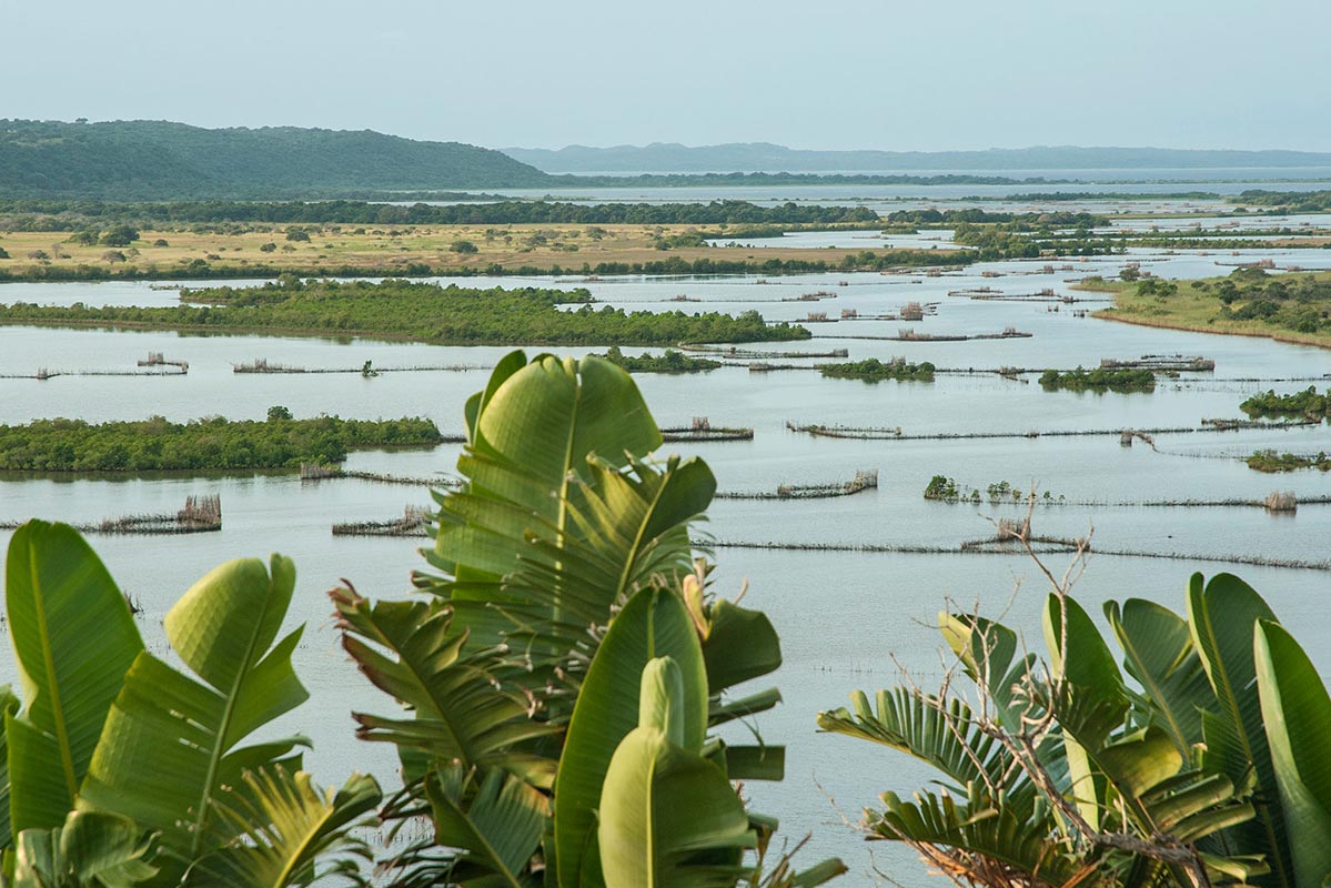 Explore Maputaland Tour in Phinda Game Reserve
