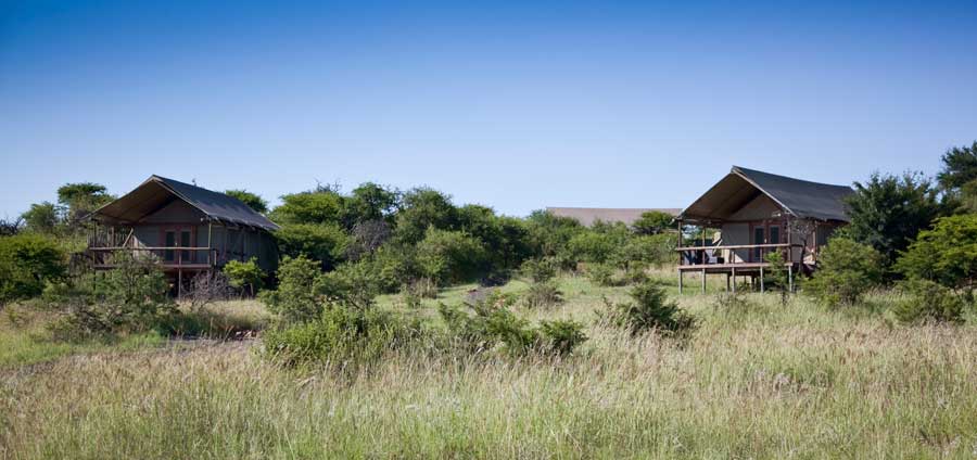 Springbok Lodge | Nambiti Game Reserve