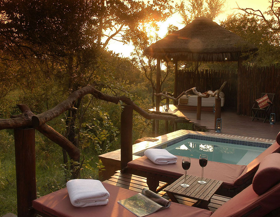 Simbambili Game Lodge | Sabi Sands Game Reserve